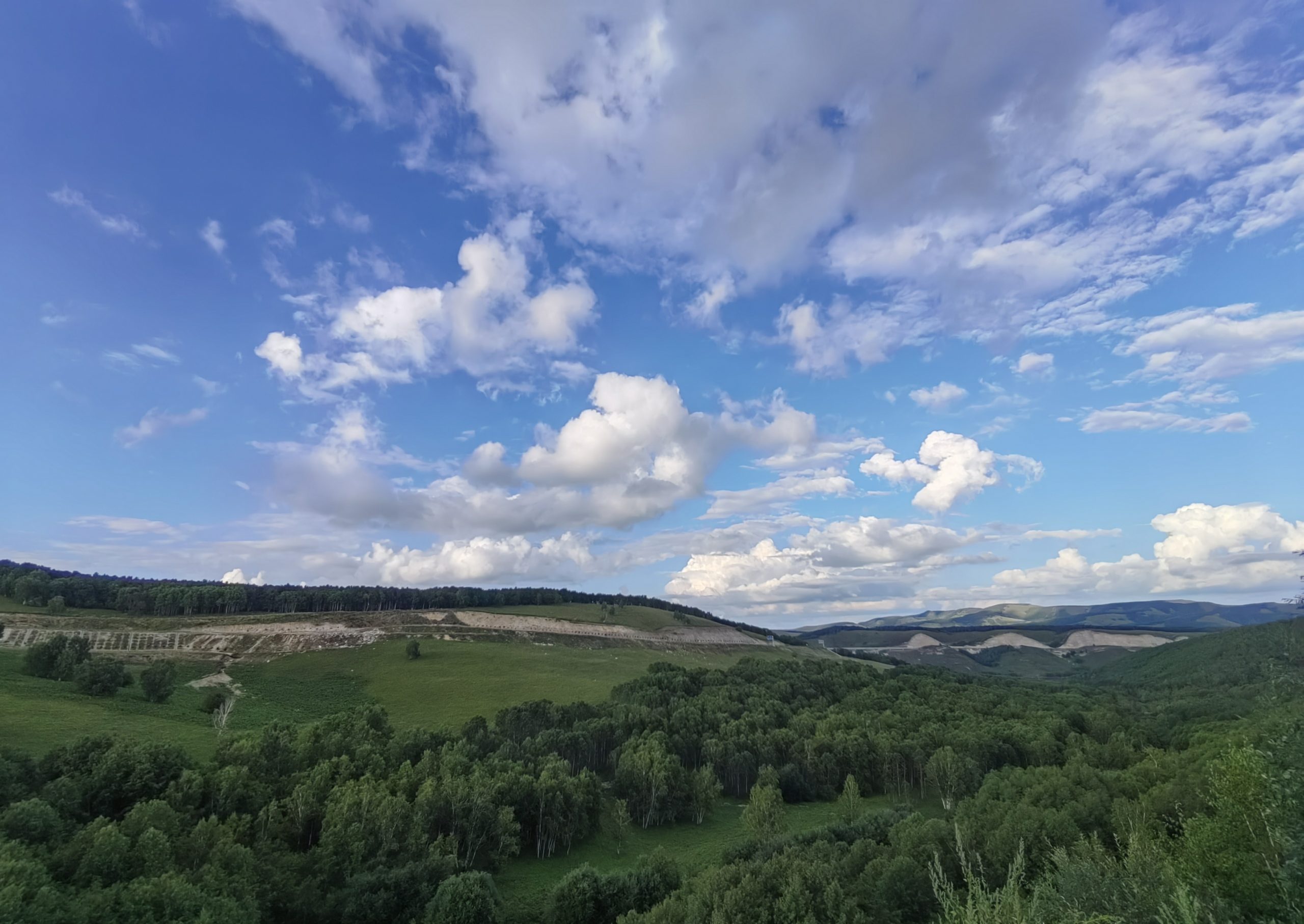 儿童的Hib疫苗补种指导 - 疫苗网