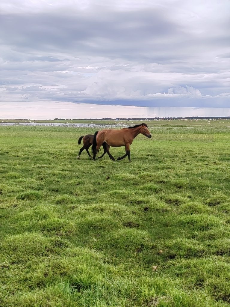 如何给成年人注射肌肉和皮下接种疫苗疫苗 - 疫苗网